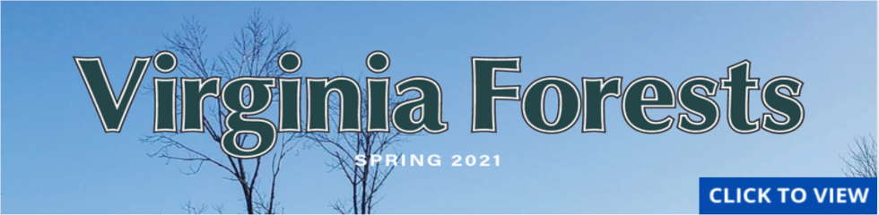 Virginia Forests Magazine